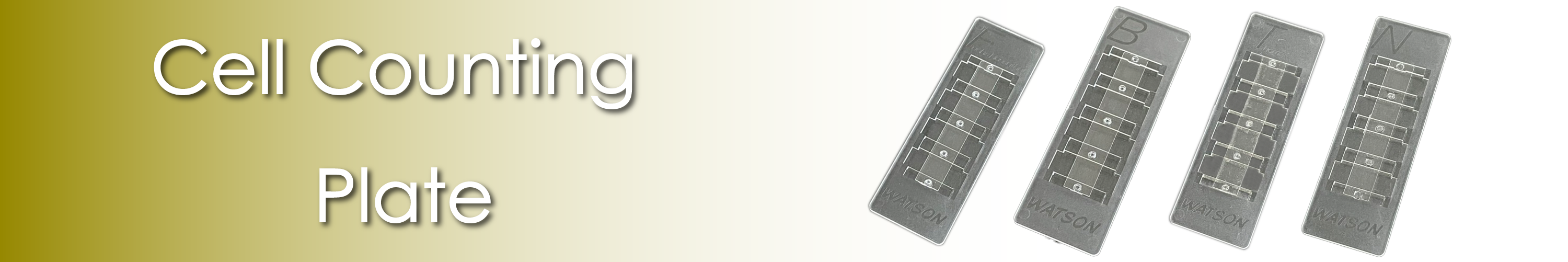 0061.Cell Counting Plate – Watson BIO LAB SHOP
